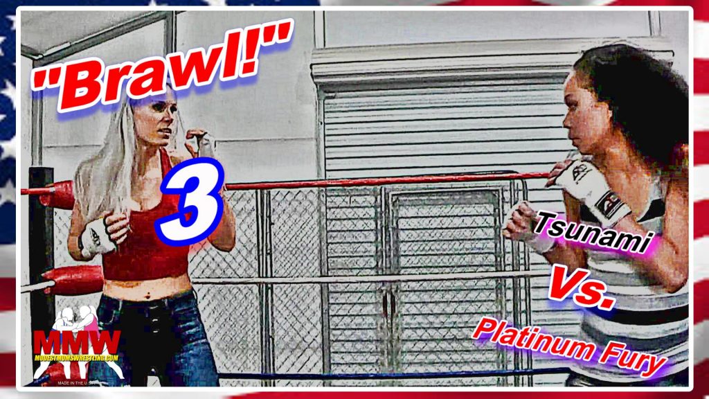 “brawl ” 3 Modest Moms Wrestling