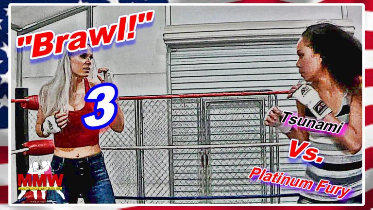 “brawl ” 3 Modest Moms Wrestling